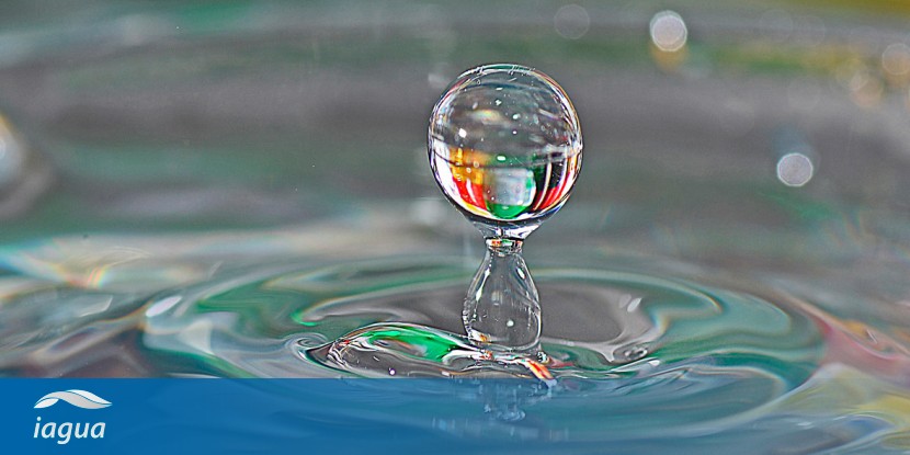 Solo La Verdad nos hará Libres – Reporte Catolico Laico